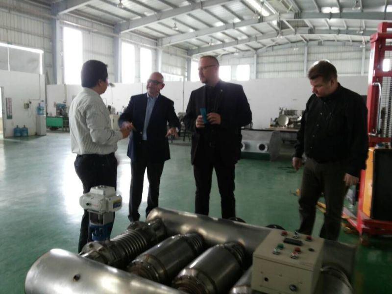 Diesel Partial-Flow Filter & Metallic Partial Diesel Particulate Filter DPF